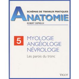 Anatomie: Myologie, angéiologie, névrologie. 5. Les parois du tronc